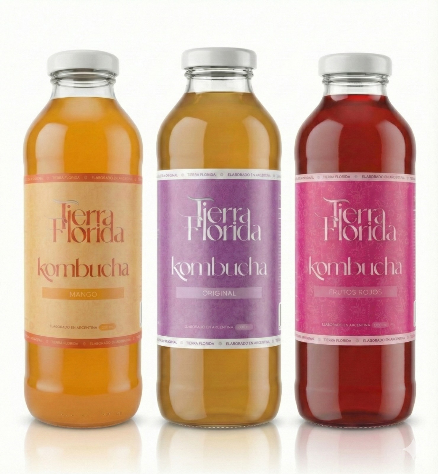 KOMBUCHA - Pack degustación x 6 botellas de 500cc $28.000 - Tierra Florida